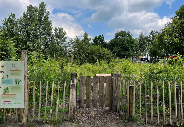 Tiny Forests Improve Biodiversity in Urban Areas - European Platform ...