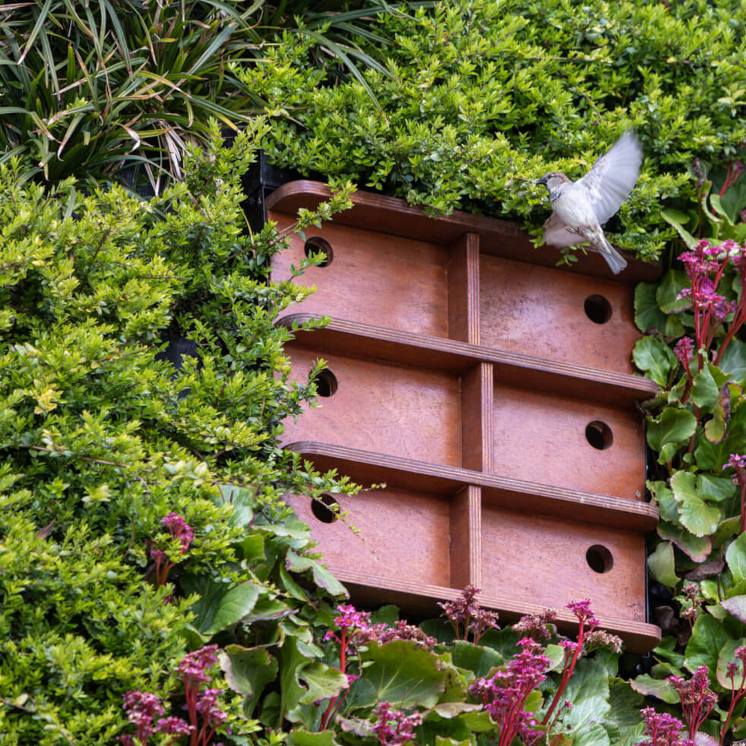 The Learning Outcomes and Curriculum for Vertical Green