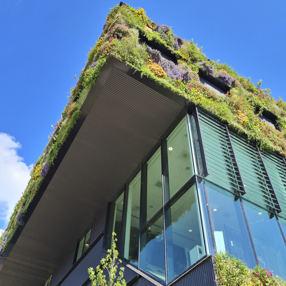 The Learning Outcomes and Curriculum for Vertical Green