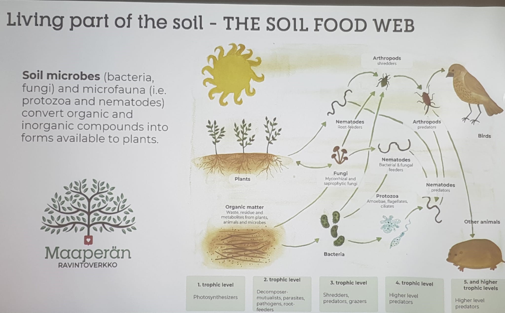 New publication from the Green Livable City practorate