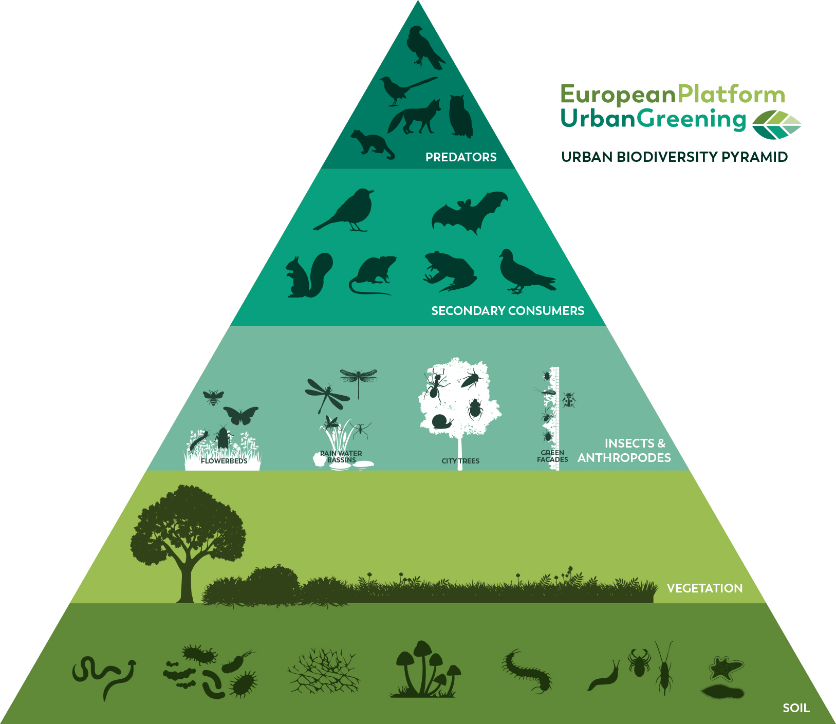 Biodiversity Monitoring in Urban Environments