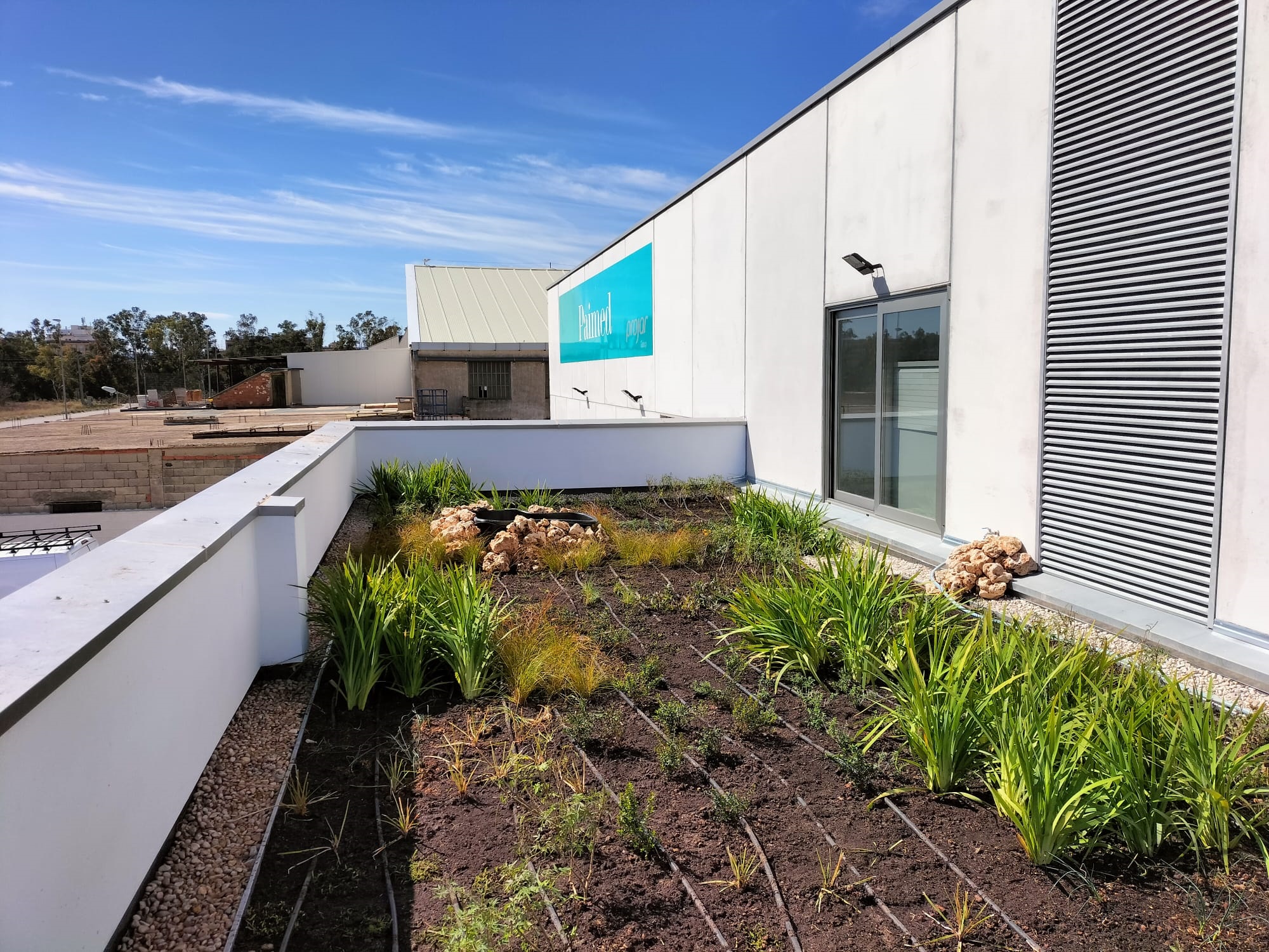 Measuring Biodiversity on a Green Roof