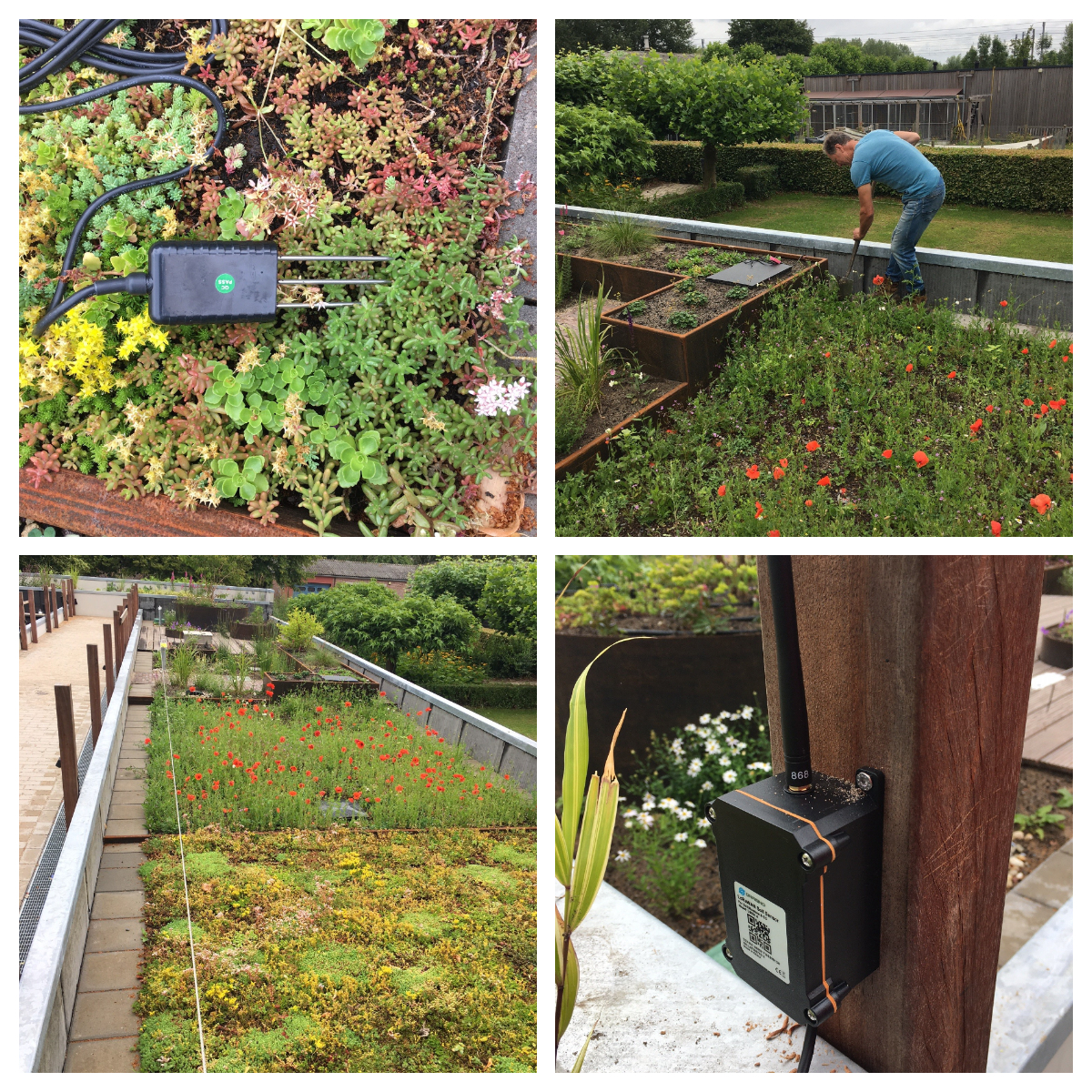 Turning a Green Roof Experience Centre Into a Smart Roof