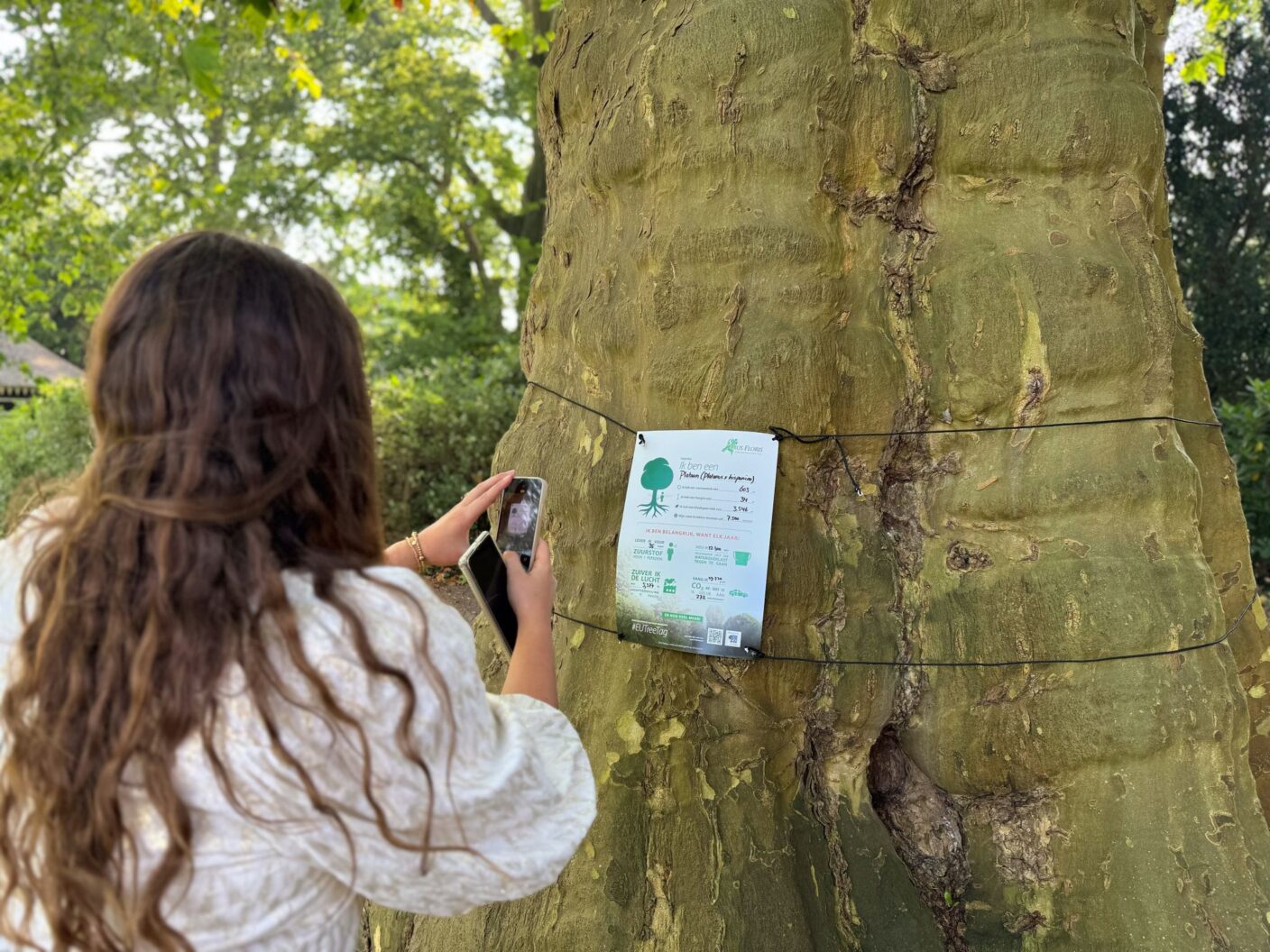 The Tree Tag Campaign - European Platform Urban Greening